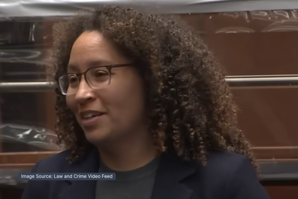public defender system - Justice, Politics, Crime, and Due Process